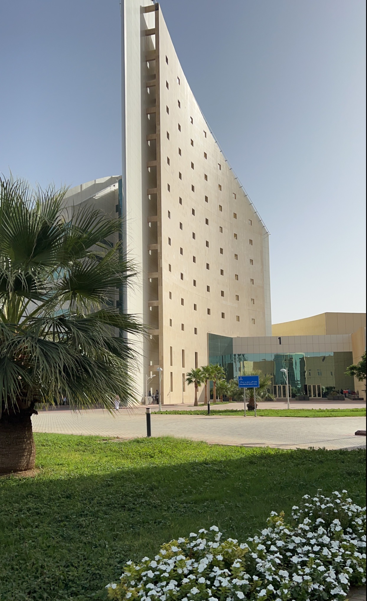 home - College of Nursing - NAJRAN UNIVERSITY